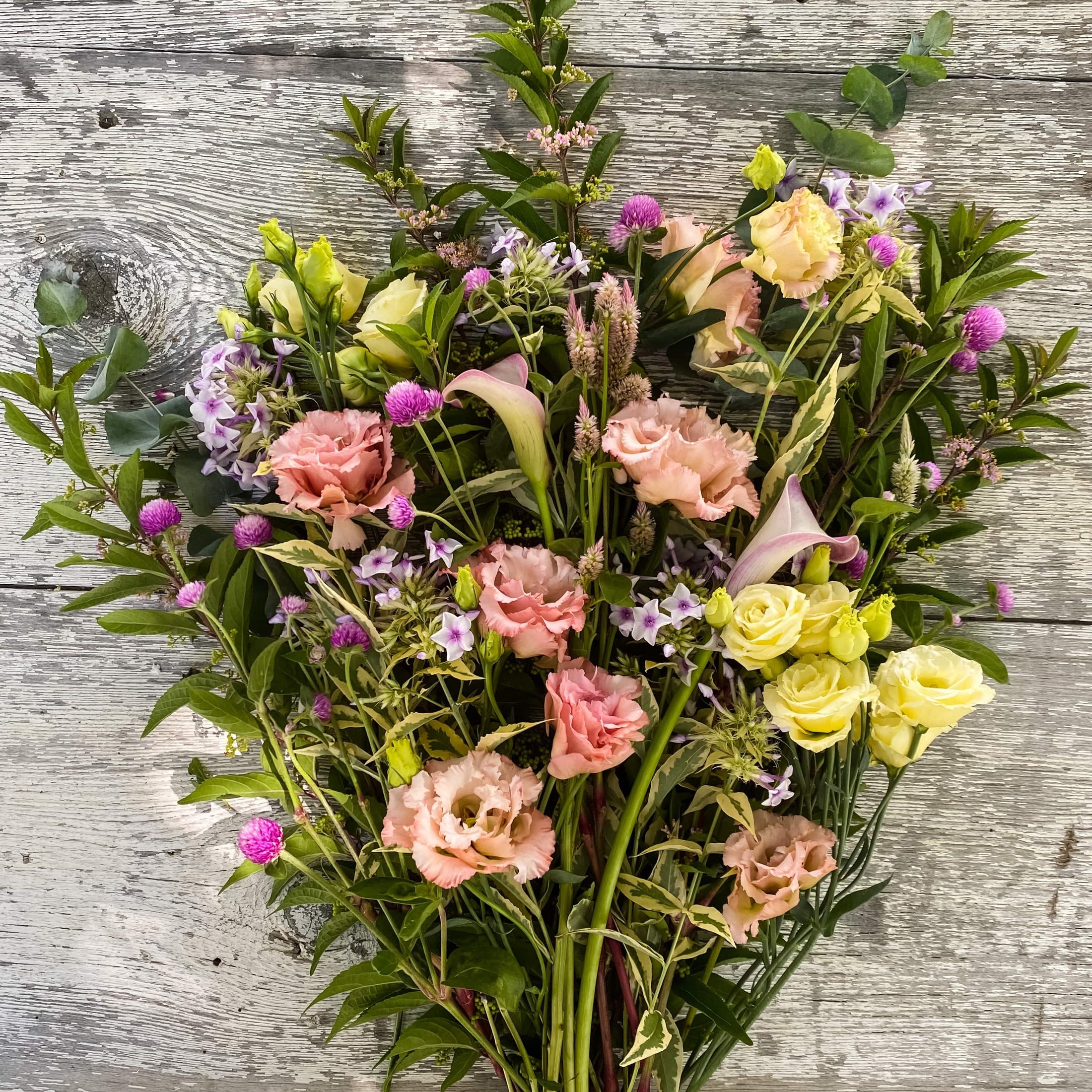 Flower Categories for Floral Design – Harmony Harvest Farm