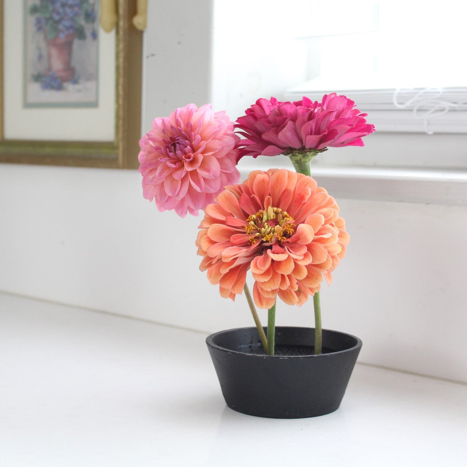 How to Use a Pin Cup – Harmony Harvest Farm