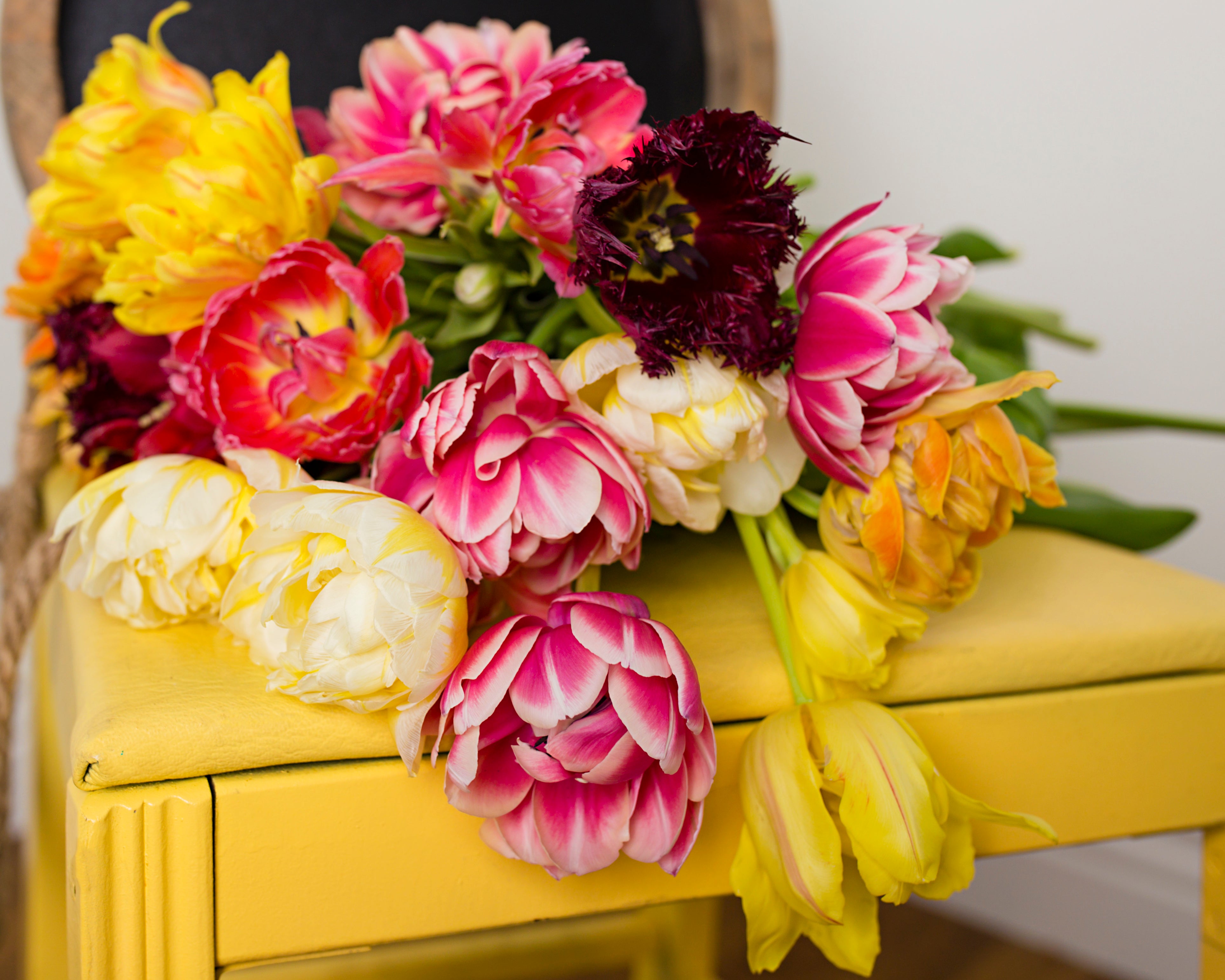 Valentine's Day – Harmony Harvest Farm