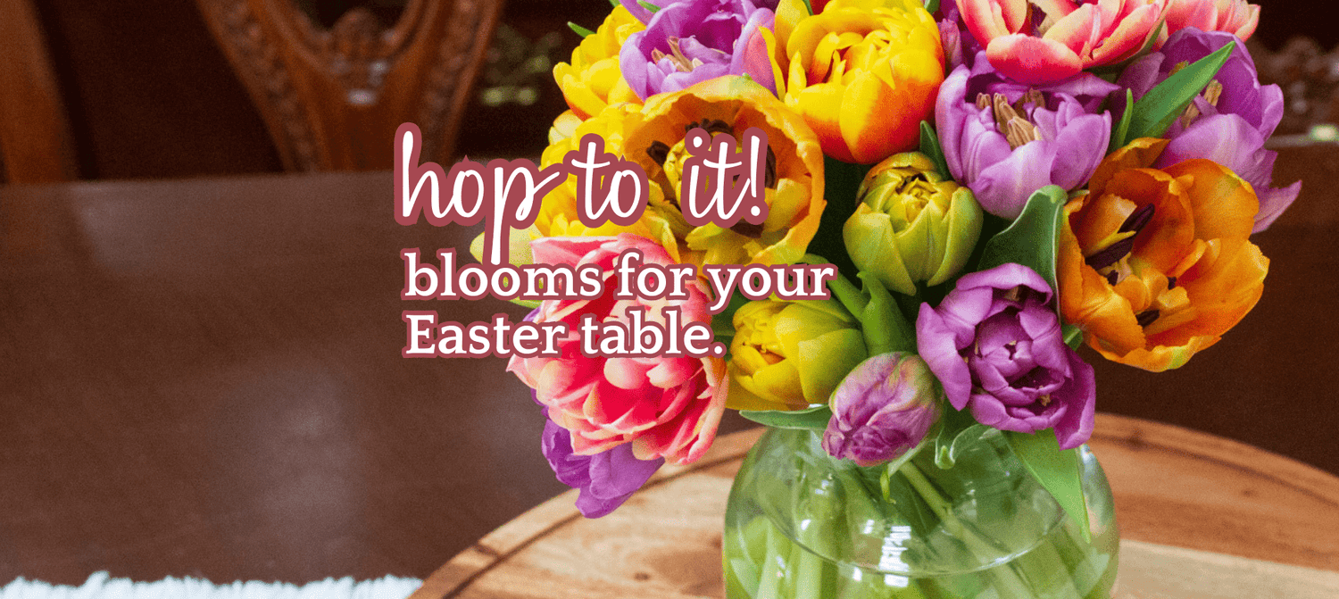 Harmony Harvest Farm | Farm Fresh Flowers, Delivered