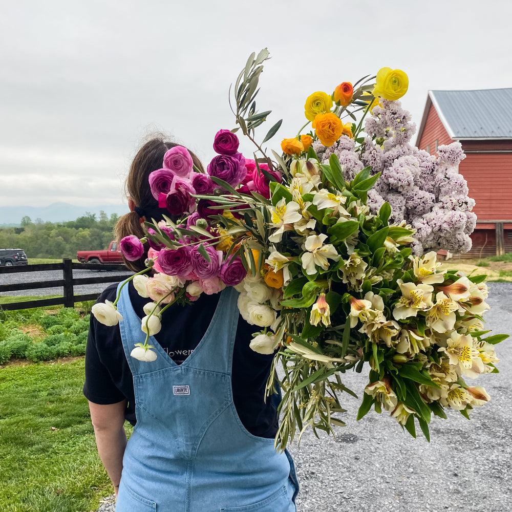Flower Farmer Tours – Harmony Harvest Farm