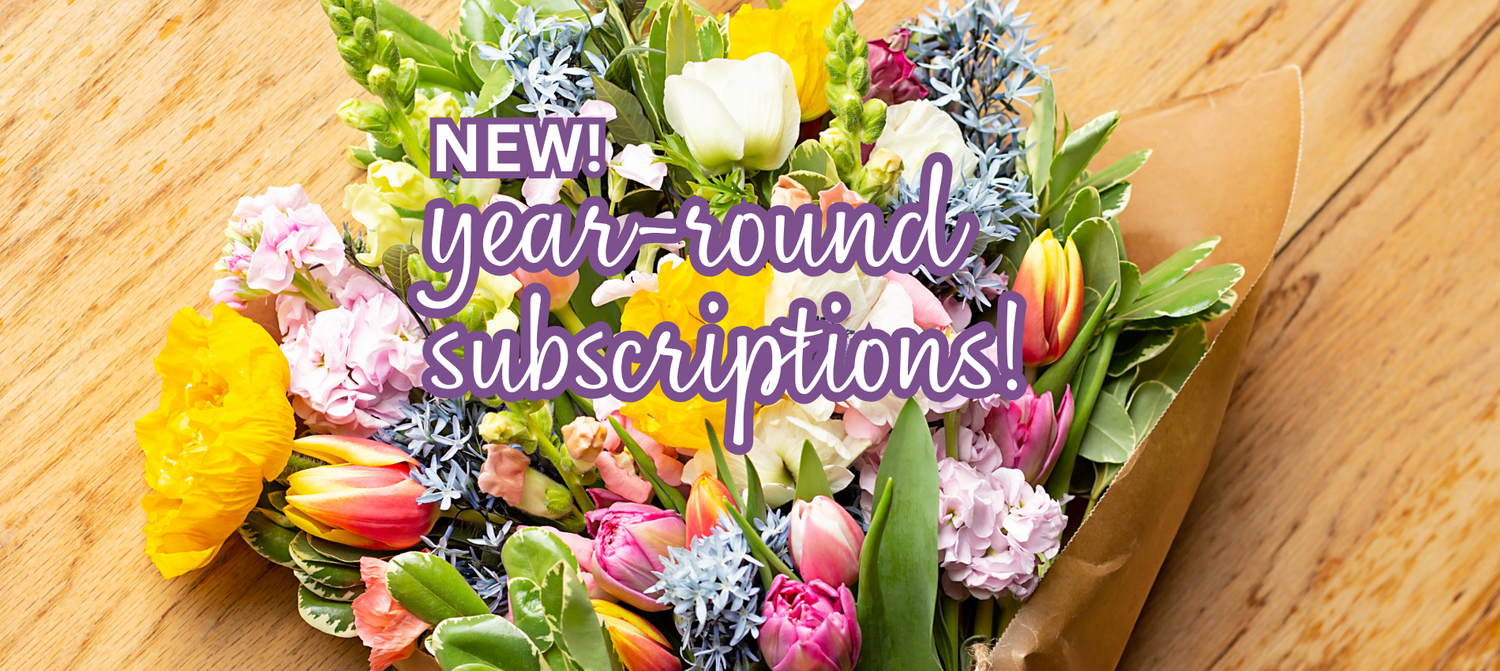 Harmony Harvest Farm | Farm Fresh Flowers, Delivered