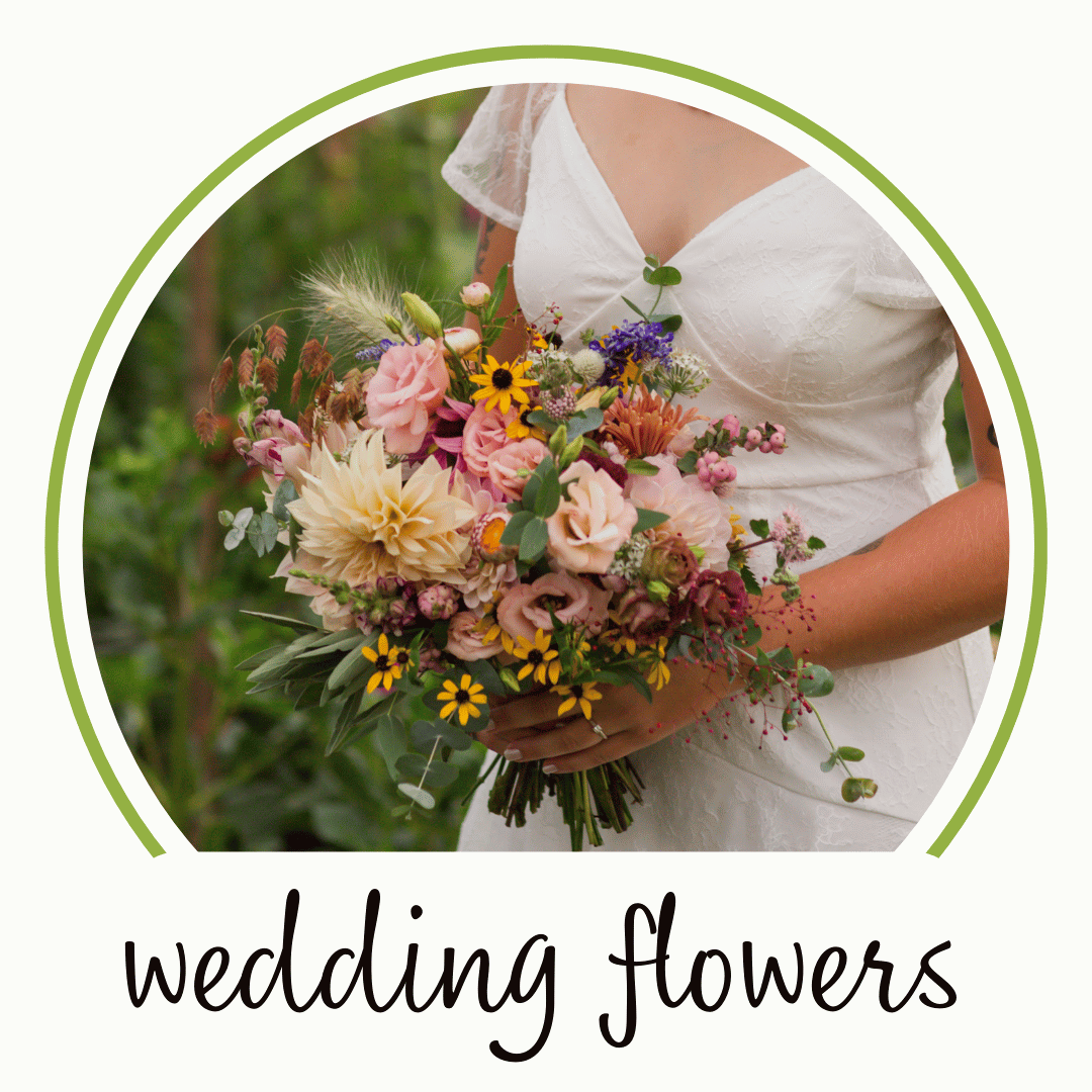 Harmony Harvest Farm | Farm Fresh Flowers, Delivered