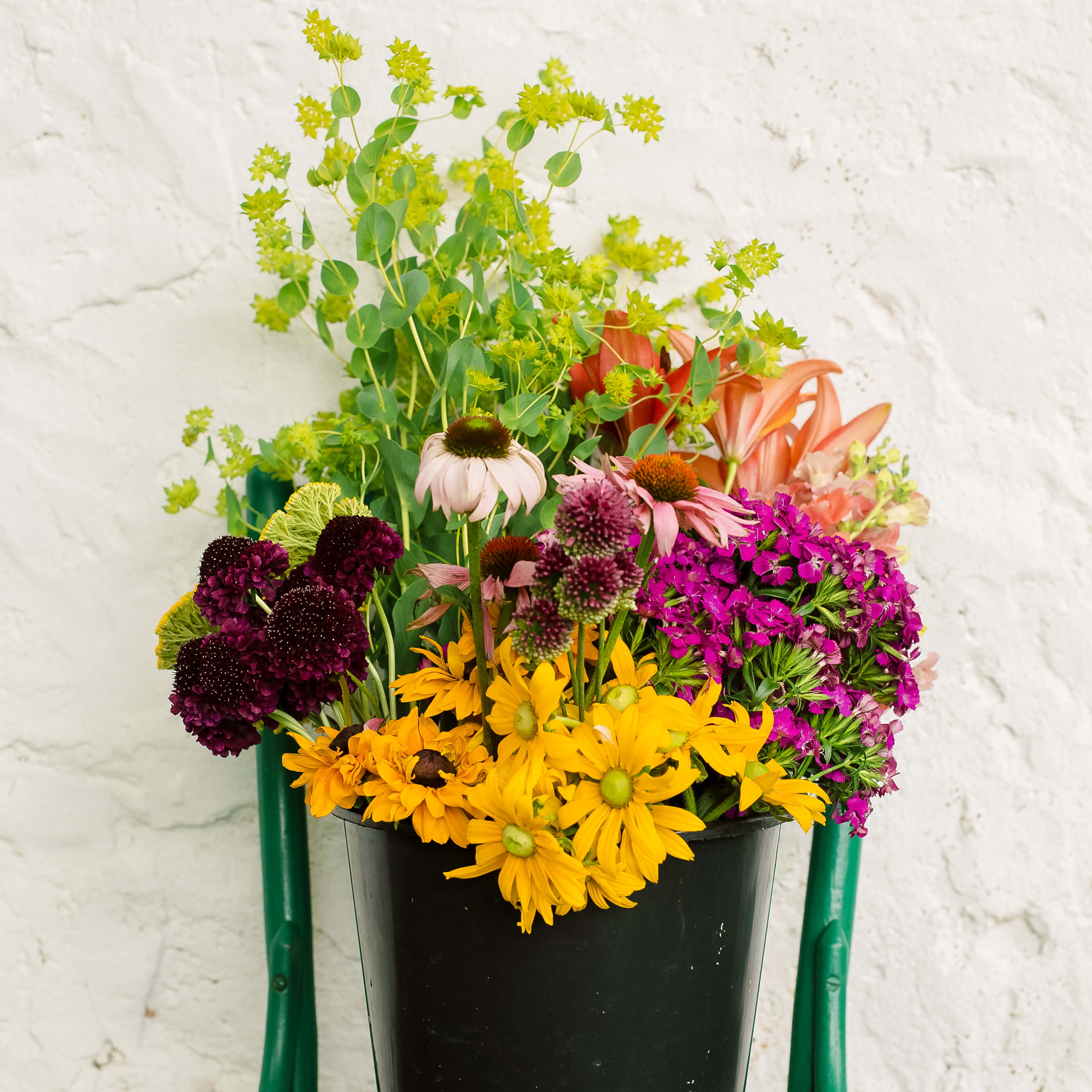 Valentine's Day – Harmony Harvest Farm