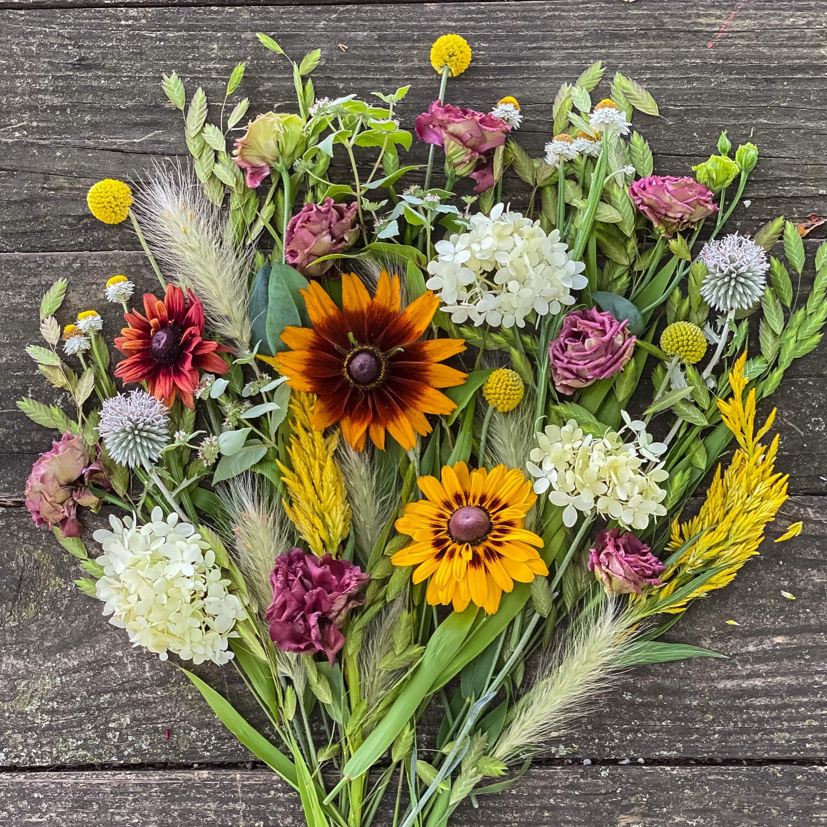Bulk Flowers – Harmony Harvest Farm