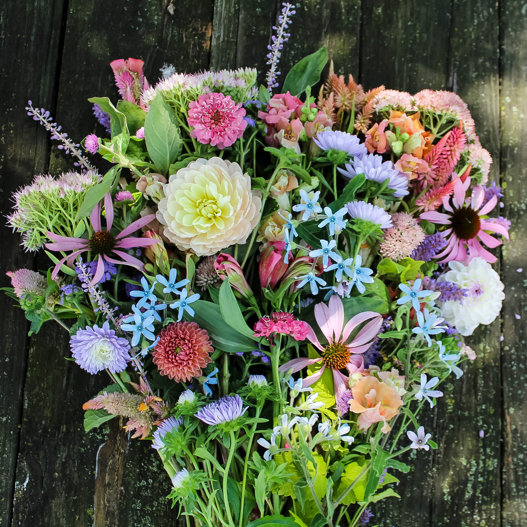 Bulk Flowers – Harmony Harvest Farm